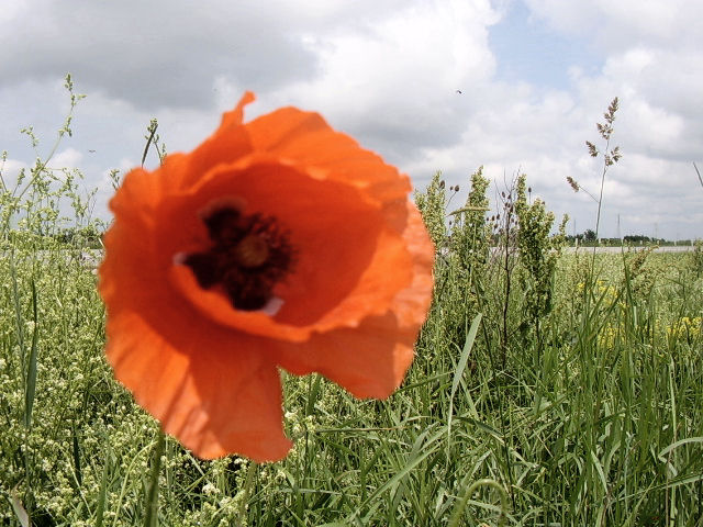 Moje slike: Moje fotografije