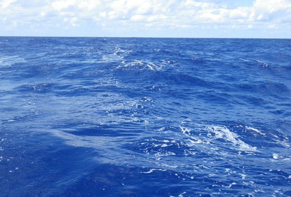 32 Fakta Menarik Tentang Lautan Yang Harus Kamu Tahu | IKAN DAN LAUT