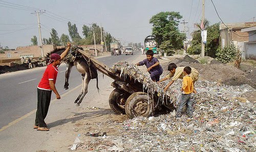 Of Animal Love: November 2016