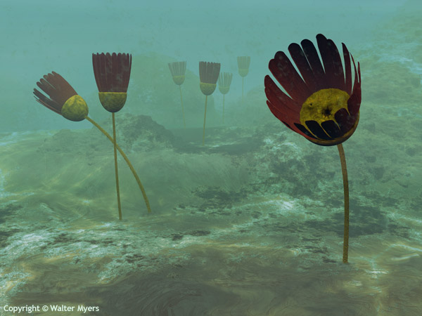 Escenarios prehistóricos: Dinomischus