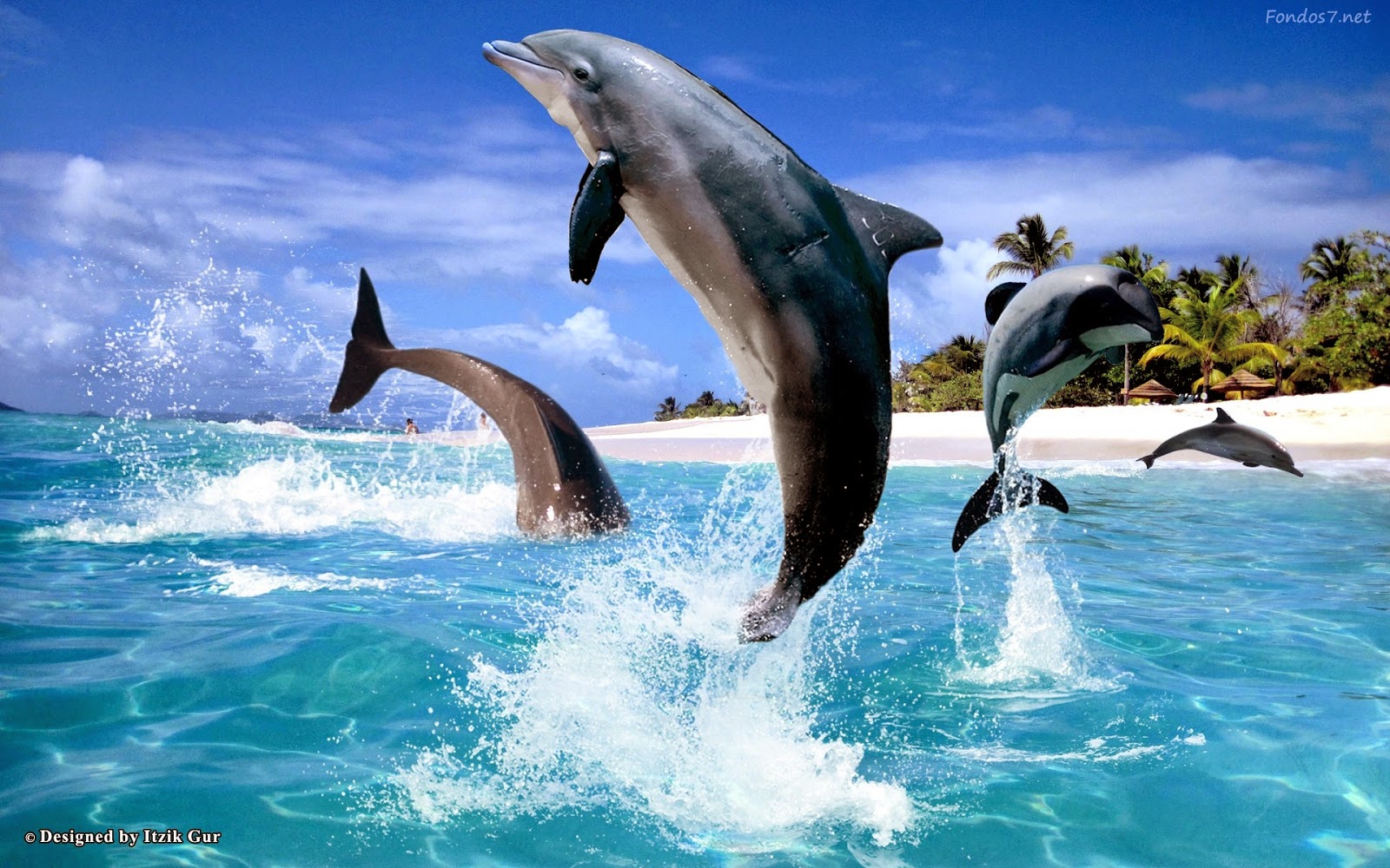Delfines