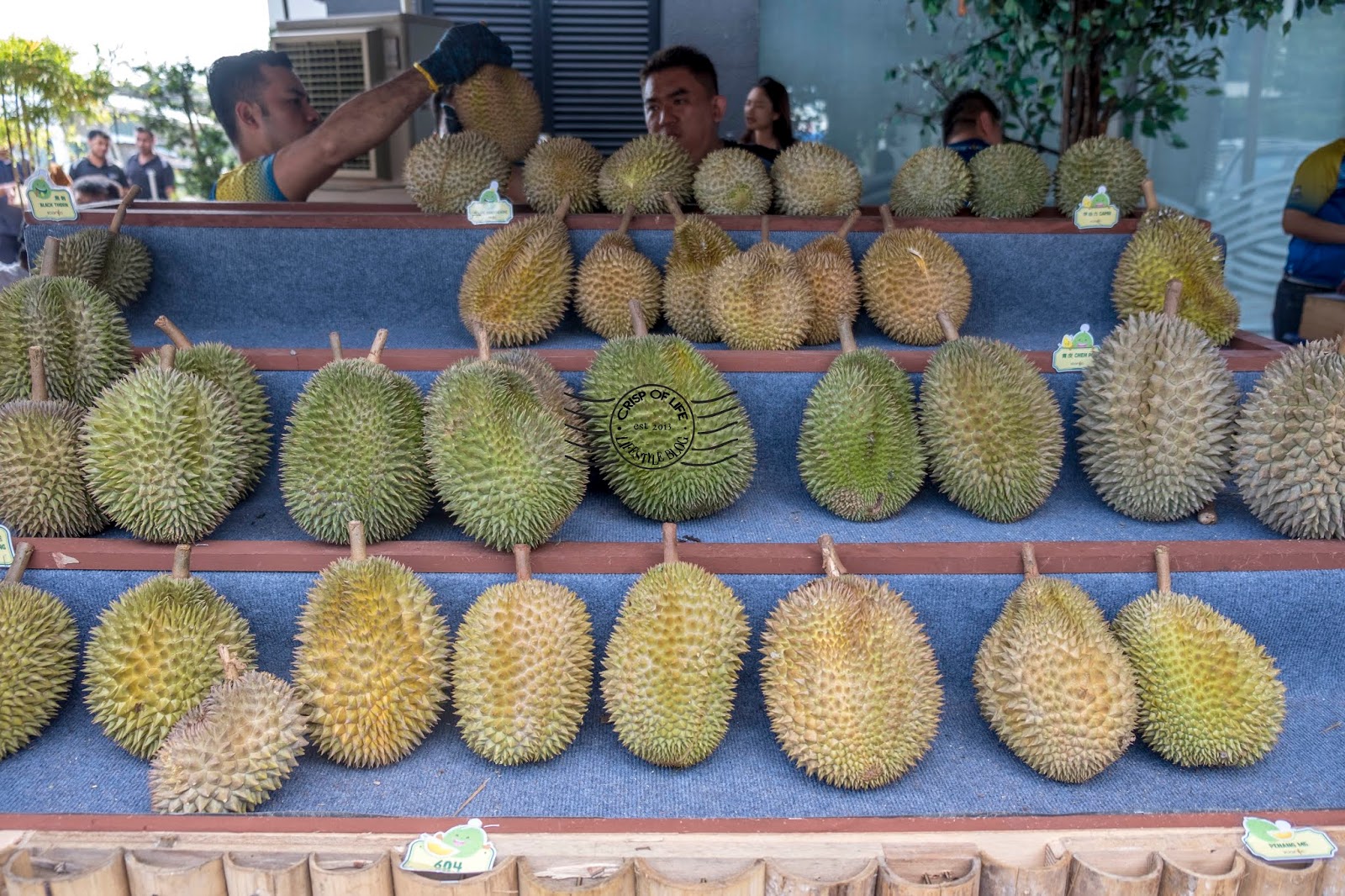 Eat All Durian As You Like In Iconic Hotel Penang For RM 45nett Per ...