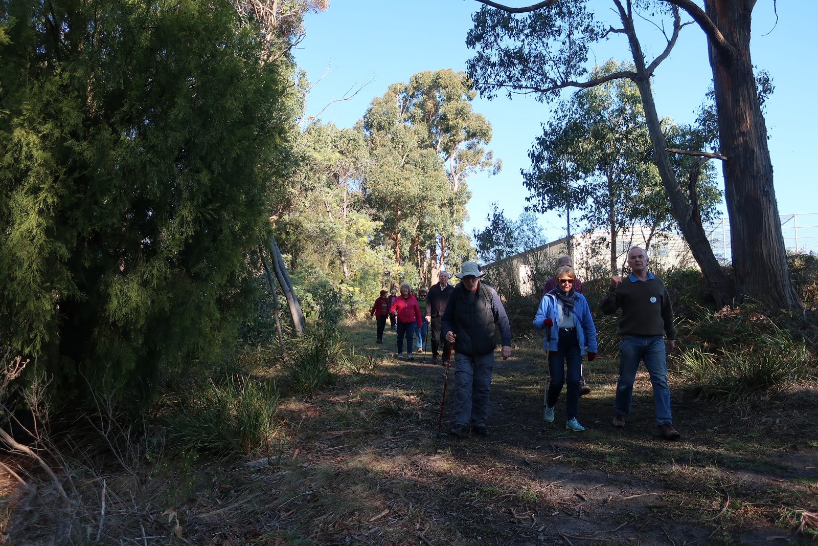 Ramblers : Margate Tramway and Rivulet Tracks