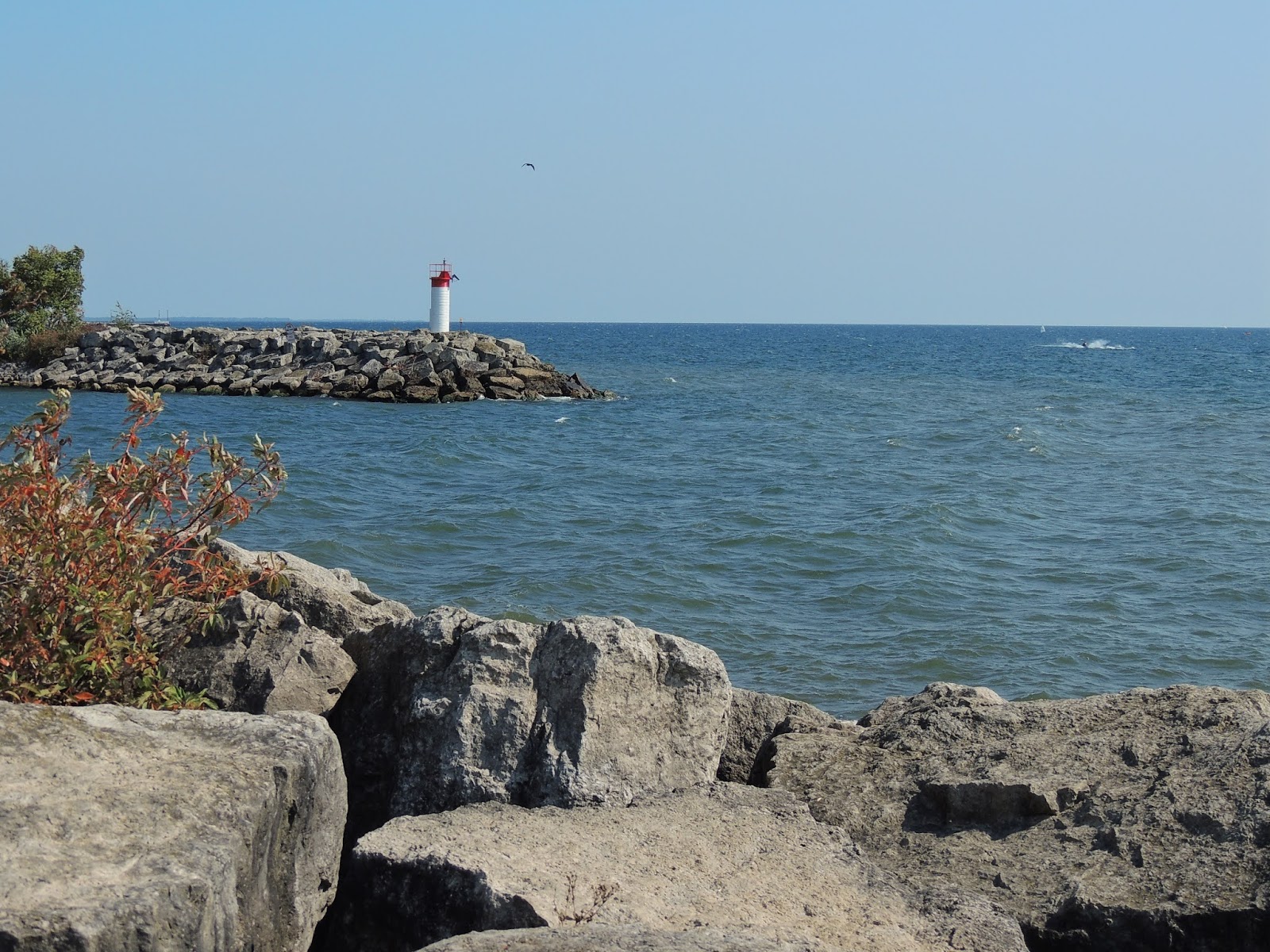 Teena in Toronto: Lakefront Promenade Park, Mississauga, ON