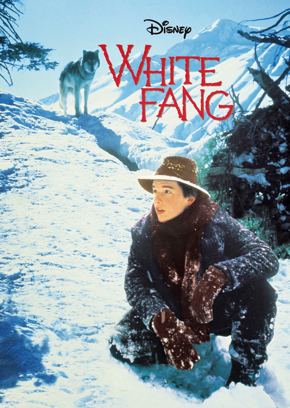 Siberian Dog Husky: top 5 movies about siberian dogs