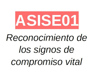 [PDF] ASISE - UNIDAD 1 - Apuntes temario