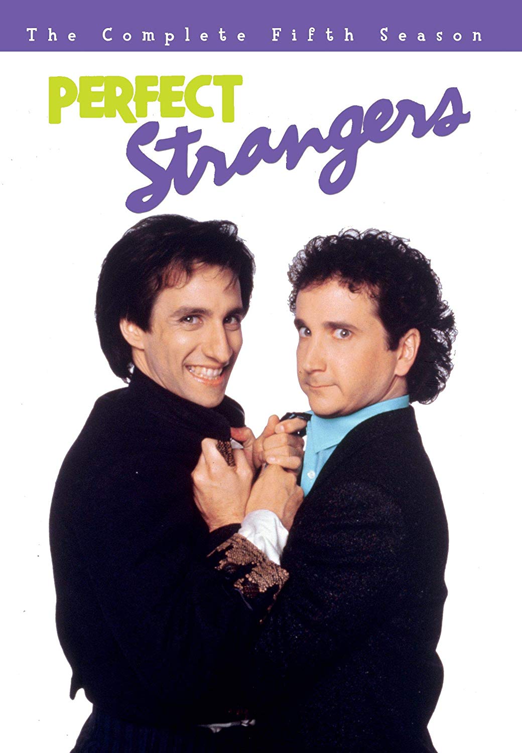 Unreal TV : 'Perfect Strangers' S5 DVD: Odd Couple Cousins Find ...