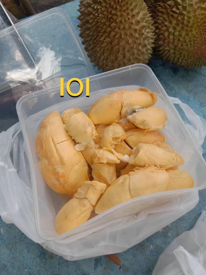 Berita TV Malaysia: HARGA DURIAN RUNTUH SANGAT MURAH