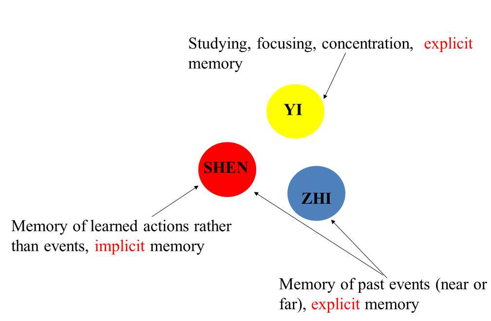 Maciocia Online: SHEN AND HUN: THE PSYCHE IN CHINESE MEDICINE