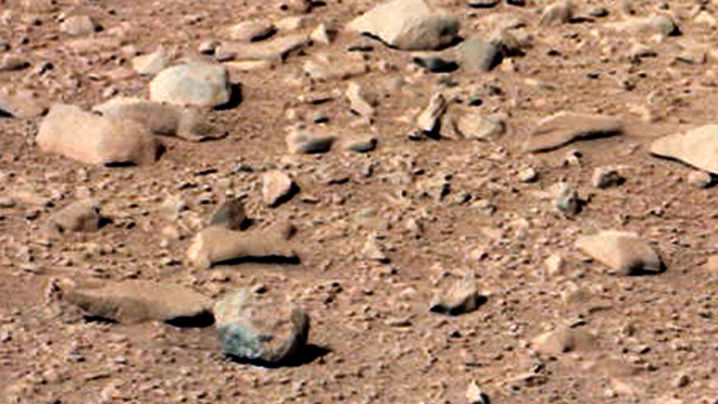 Wake Up: 'Mars Rat' Spied By NASA's Curiosity Rover