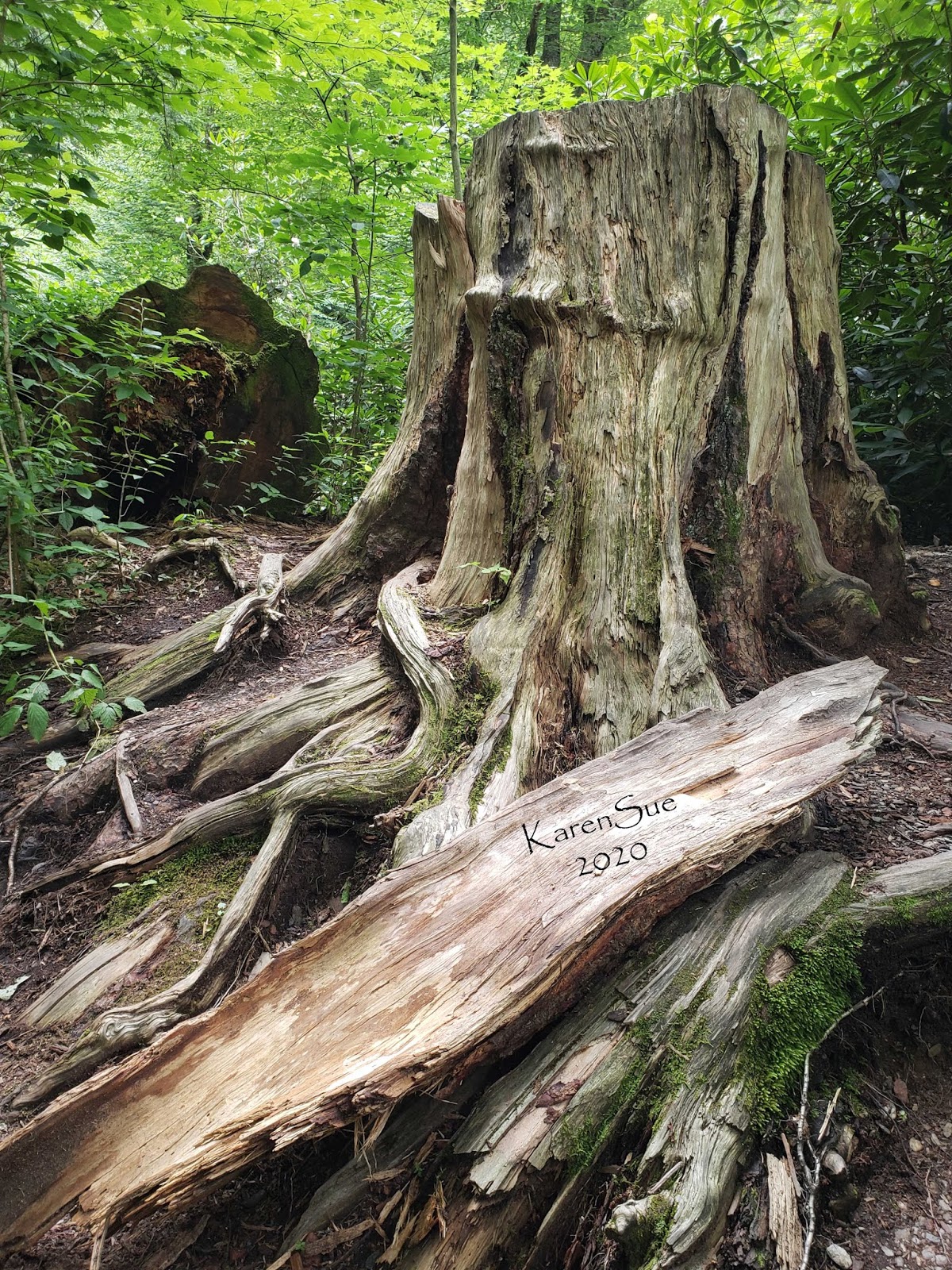 Welcome! Let the Journey Begin.: Worlds Largest Ceiling Clock ...