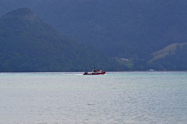 Photos by Caroline Buchanan: Orua Bay and Wattle Bay, Awhitu Peninsula
