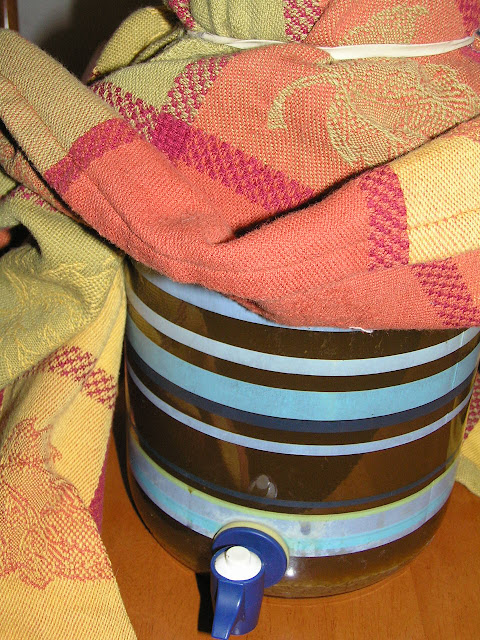 Make Your Own Kombucha - A Life Unprocessed