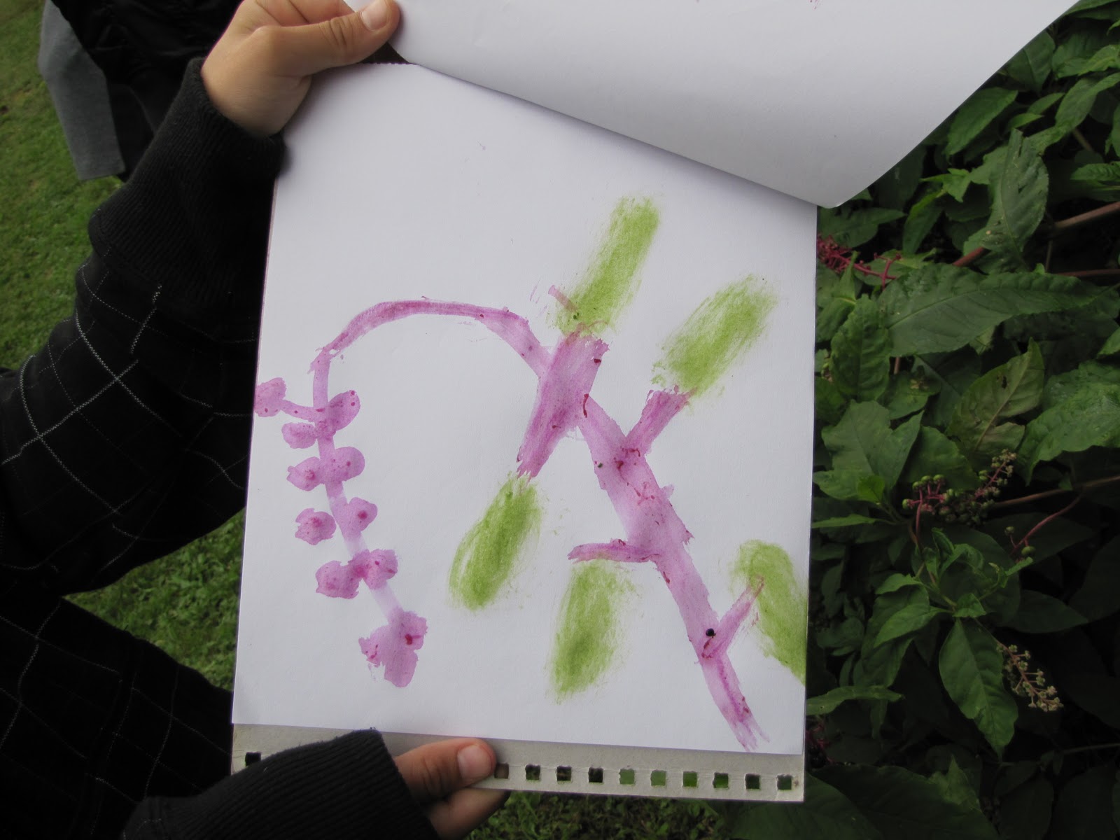 CHILD IN HARMONY: PLAYING WITH POKEWEED