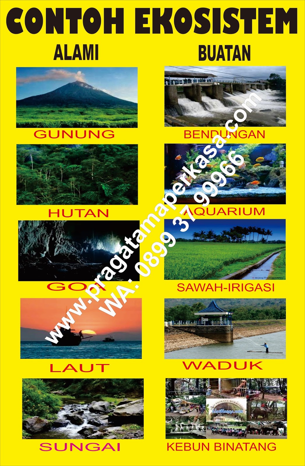 POSTER IPA - Pragatamaperkasa.com - Distributor Alat Peraga Pendidikan ...