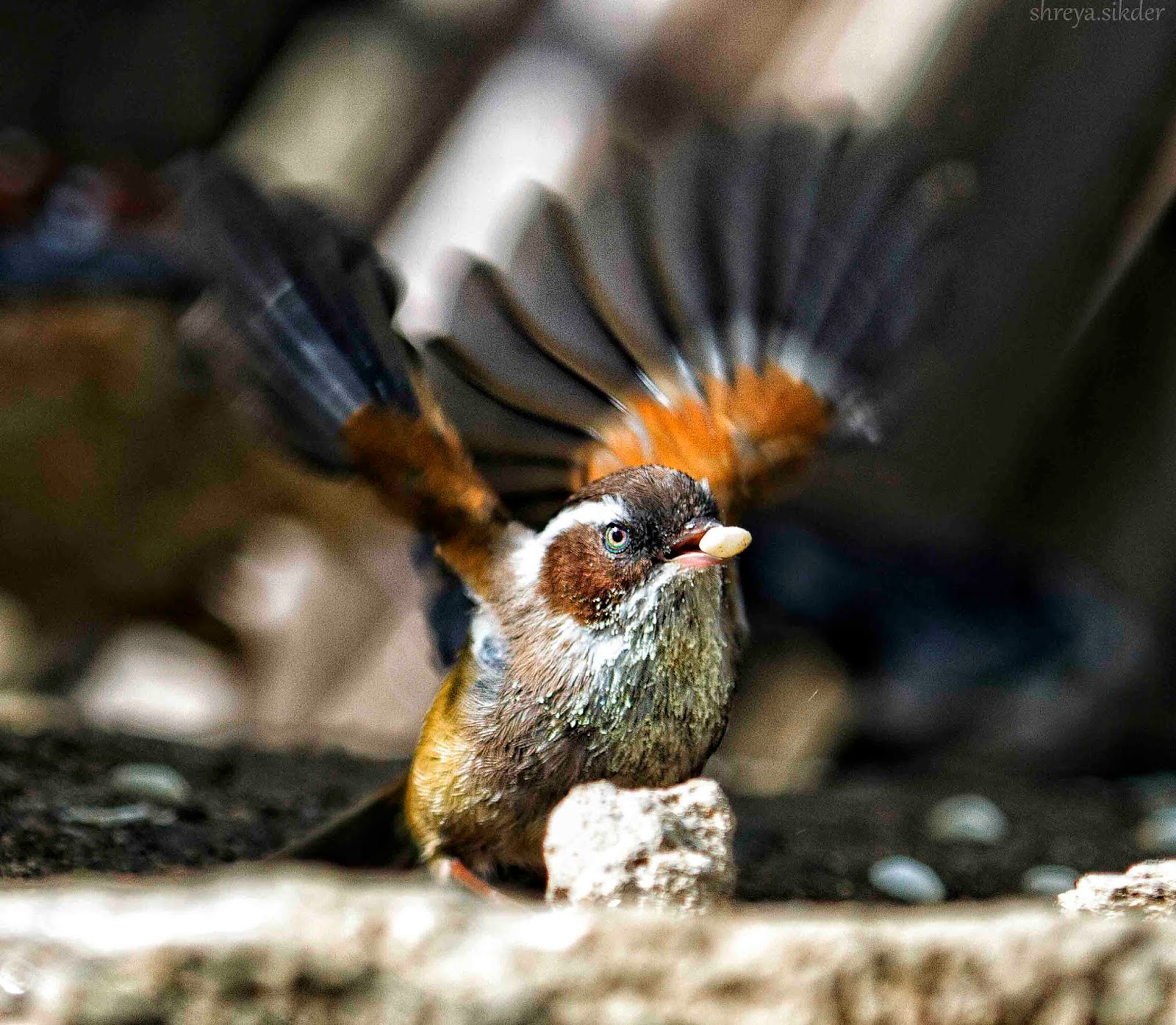 Let's Walk Together And Explore The World. Shall We?