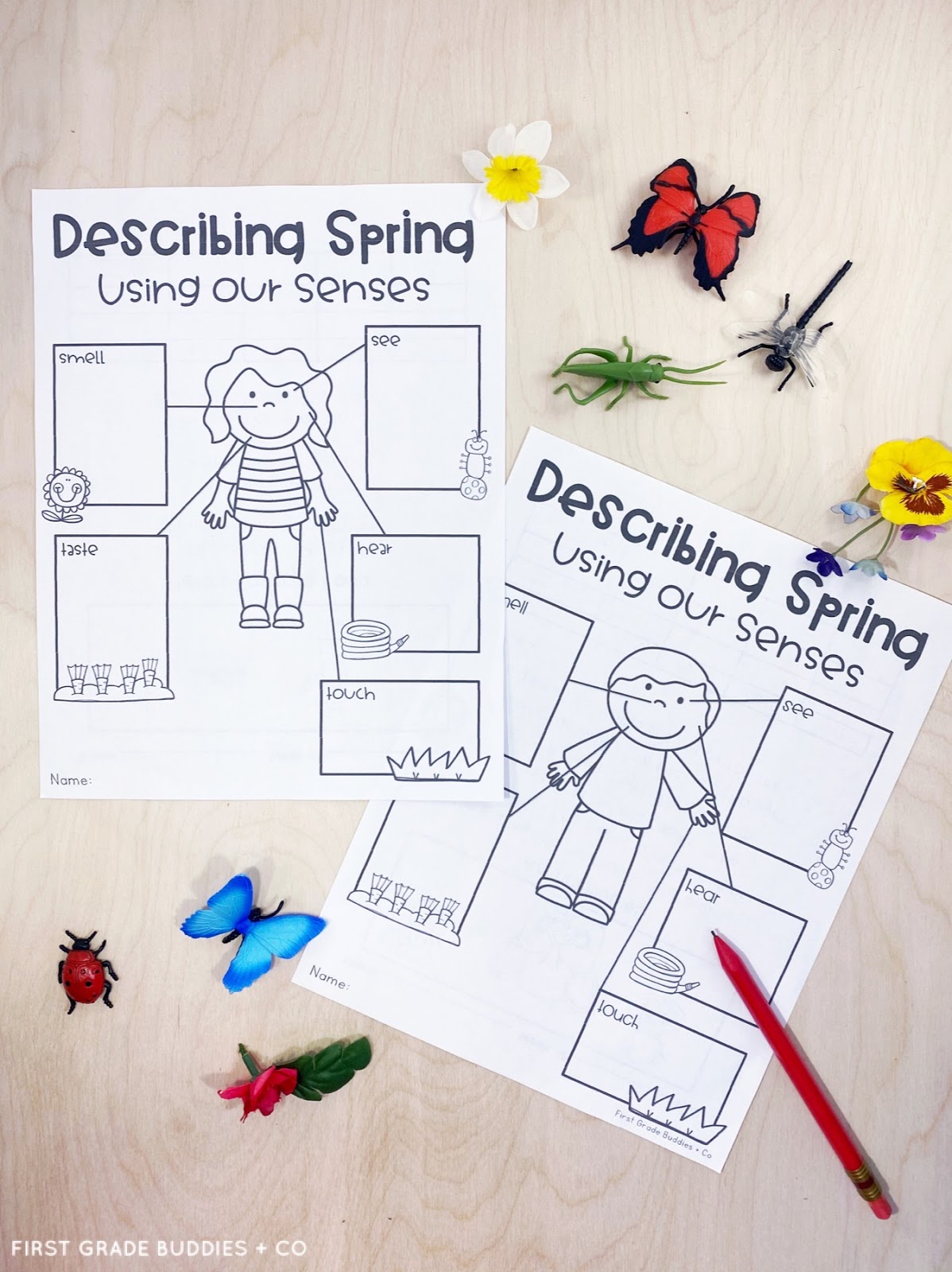 Simple Science: Spring Science | First Grade Buddies