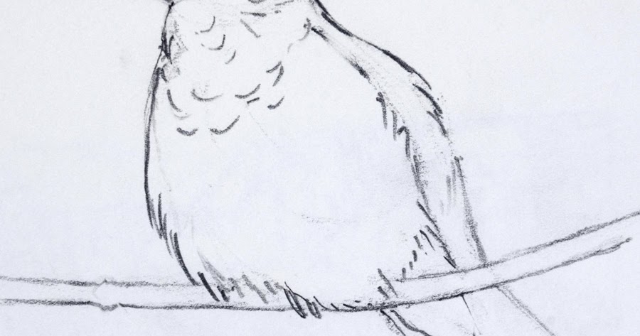 *Sketching Every Day*: Imagination is Limitless