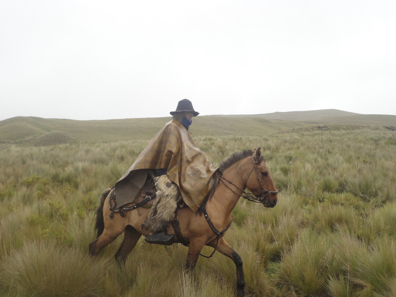 El Chagra Pedregaleño (Ecuador): PARTE III: El Chagra en su Medio y El ...