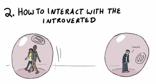 The Introvert: Understanding the INTROVERTED
