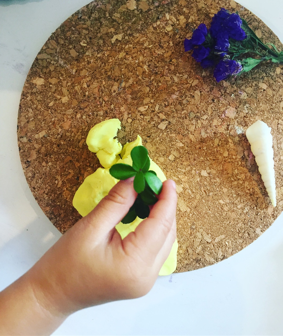 Provocations For Toddlers