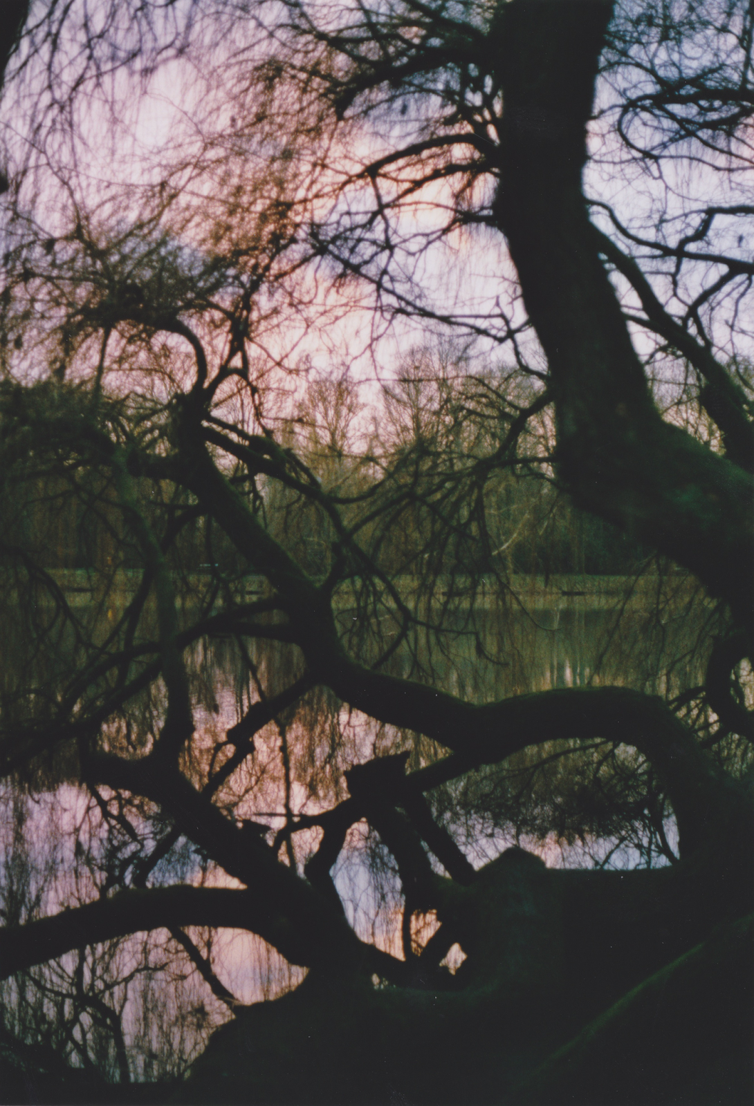 The Achromatist: More Fujifilm Superia 400 samples