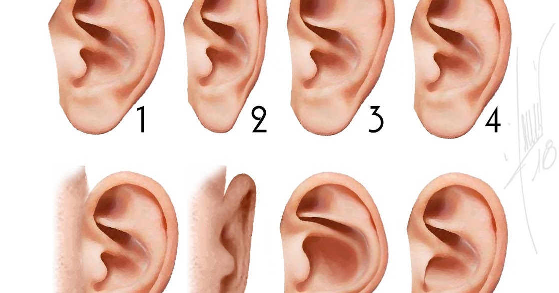 Magia Práctica: SIGNIFICADO DE LAS FORMAS DE LAS OREJAS