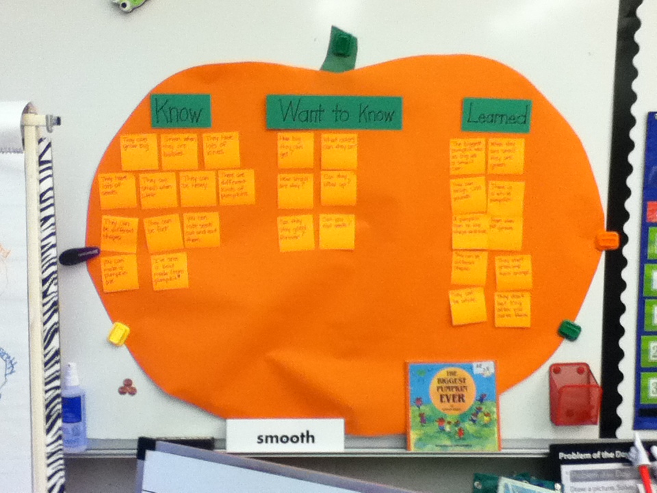Mrs. Bushong's Second Grade: Bat and Pumpkin Nonfiction Unit
