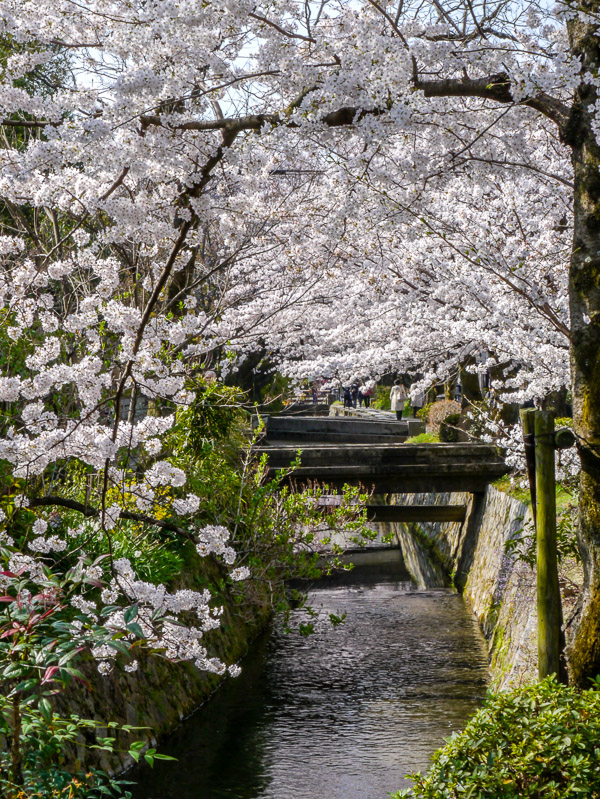 Pete and Kristina Roam: Kyoto and Beyond: Our Spring Experiences