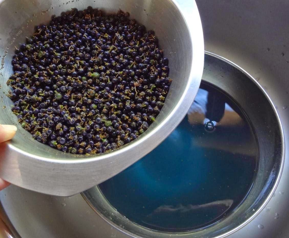 Jane Trembath: How to Make Umsoba / Msoba / Nightshade / Nastergal Jam