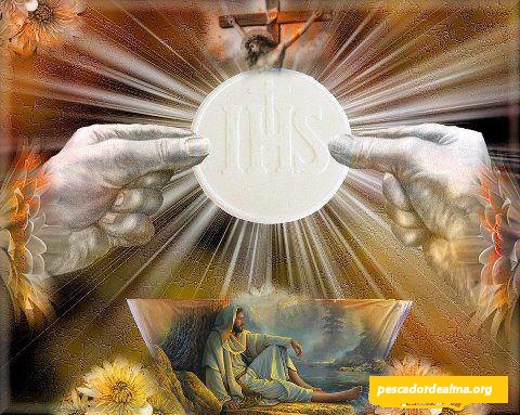 En las Redes con Jesús : ¿Qué significa la palabra hostia?