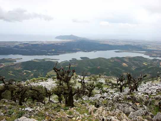 SENDERISMO EN EL RIF/RANDONNÉES DANS LE RIF: DHAR HAJAR Y FAHS LEMHAR ...