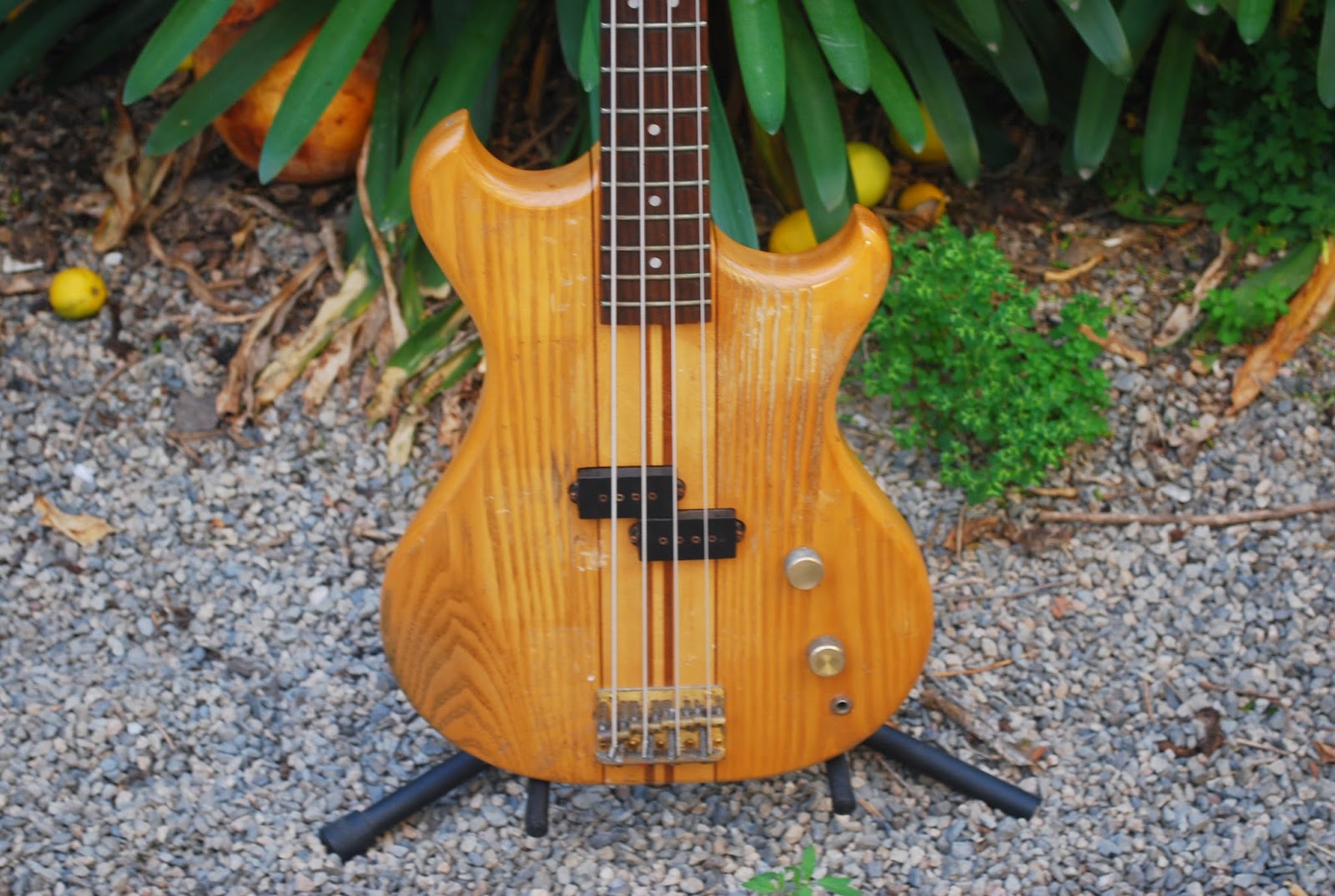 Rex and the Bass: 1982 Westone Thunder 1 Bass Guitar Review