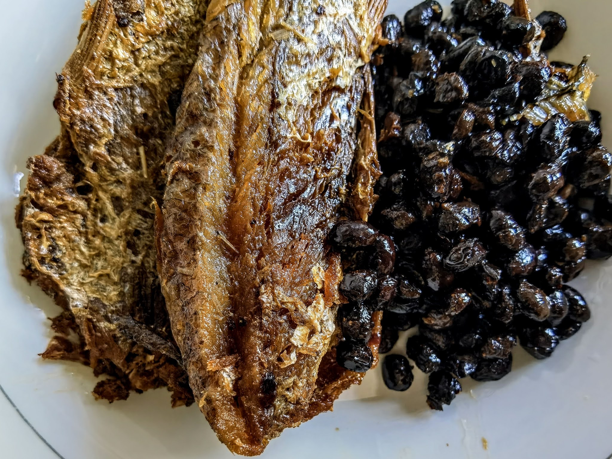 Canned Fried Dace Fish 🐟 Humble Global Cantonese Food Icon 豆豉鯪魚 |Tony ...