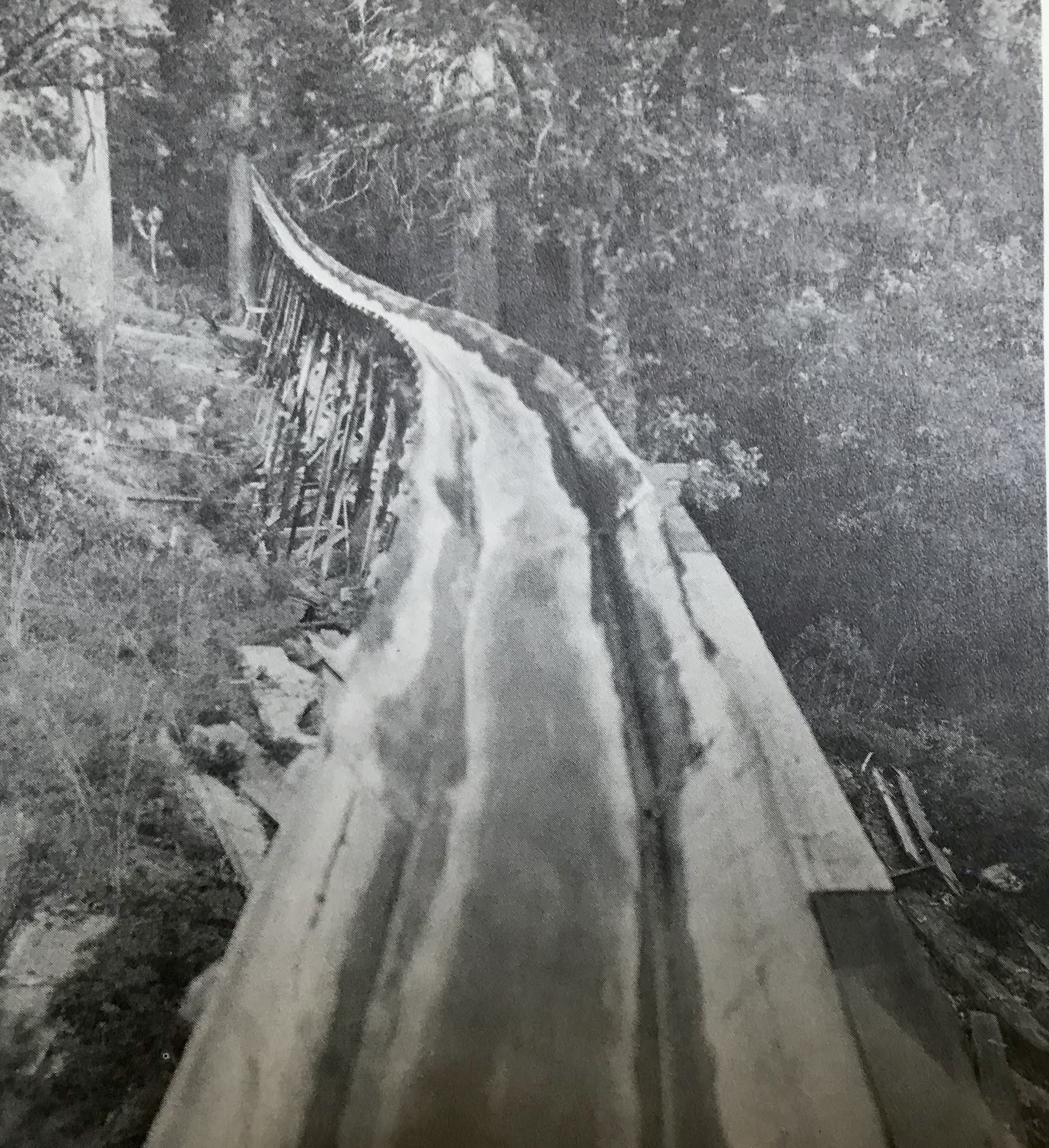 Modeling the Pickering/Madera/Sugarpine Lumber Co. Logging Railroads: 2021