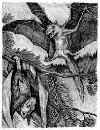 Lone Pine Mountain Devil | Bizarre