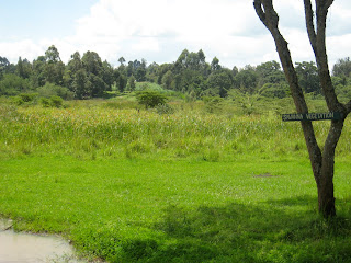 Kenya IUPUI 2011: Kitale Conservancy: Kitale, Kenya