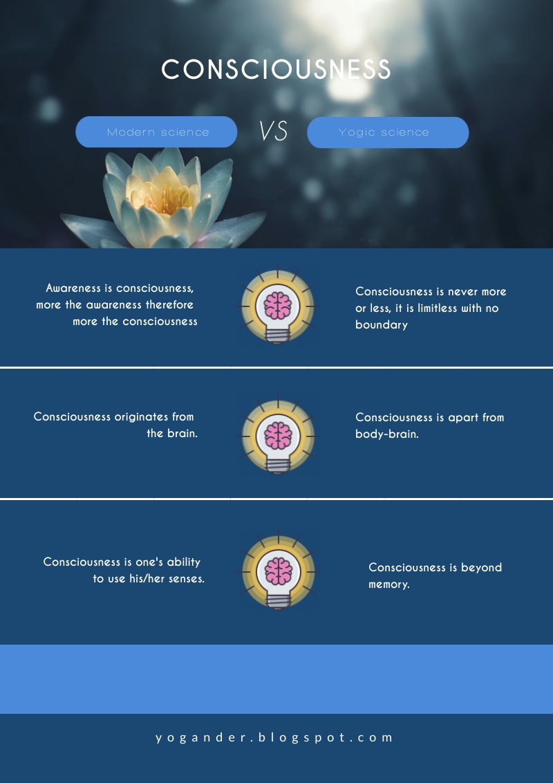 Consciousness 101: A Yogi's Guide (+Infographic included ) - My Portfolio
