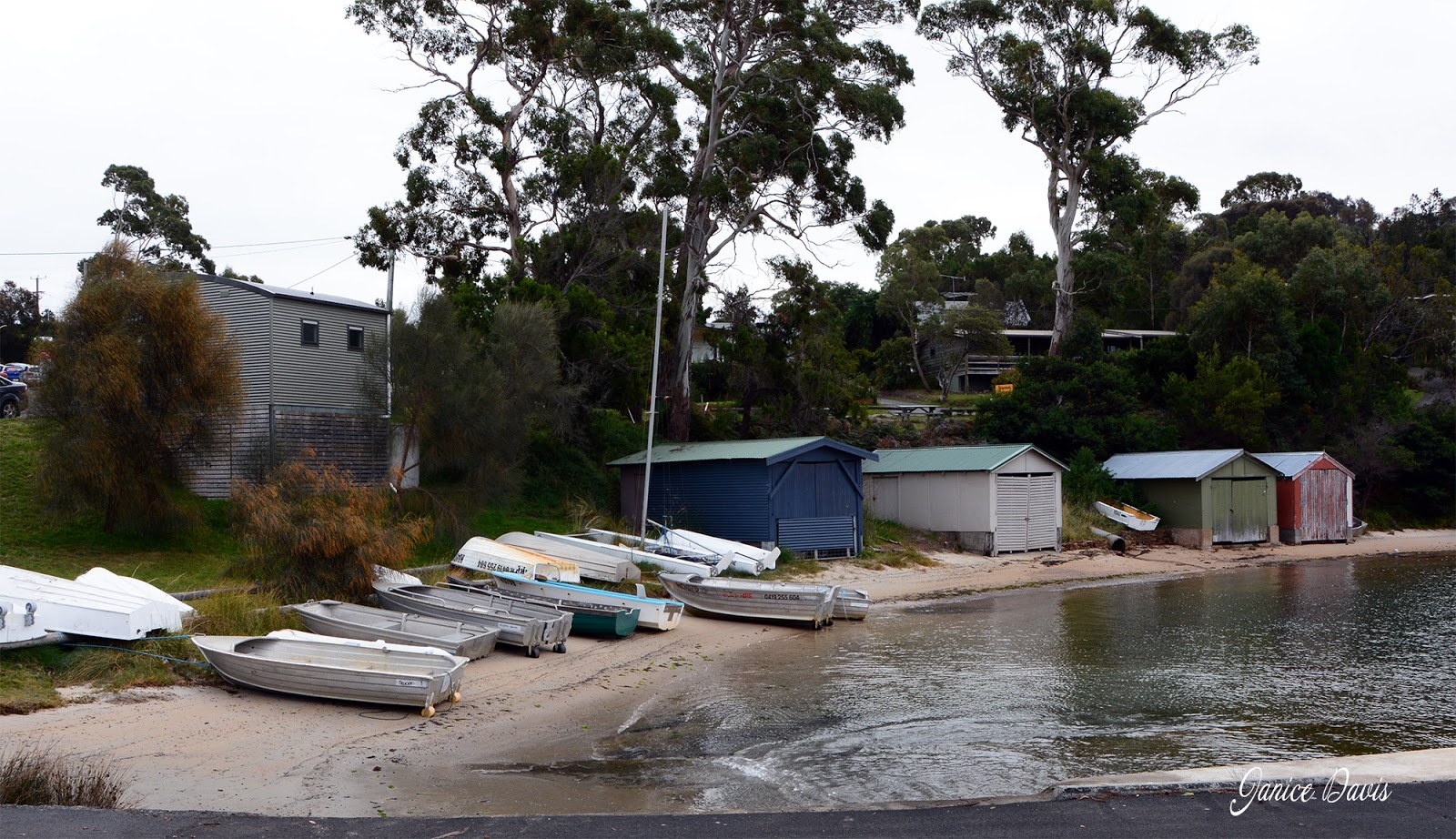 thoughts & happenings: Coles Bay, Tasmania, Australia.