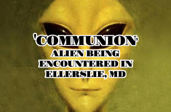 Please enable JavaScript