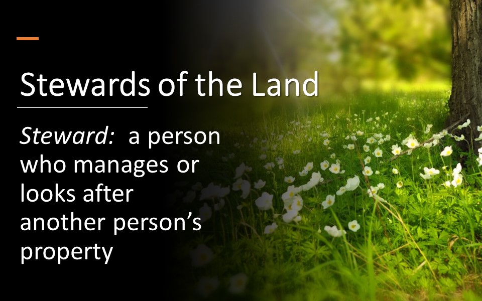 Pastor Chris' Blog: Stewards of the Land - God's Green Earth, part 1