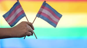 AGING GAYLY : THE TRANS GOAL: "BEING" INSTEAD OF "BEING BRAVE"