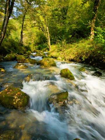 Rio | Características Gerais dos Rios