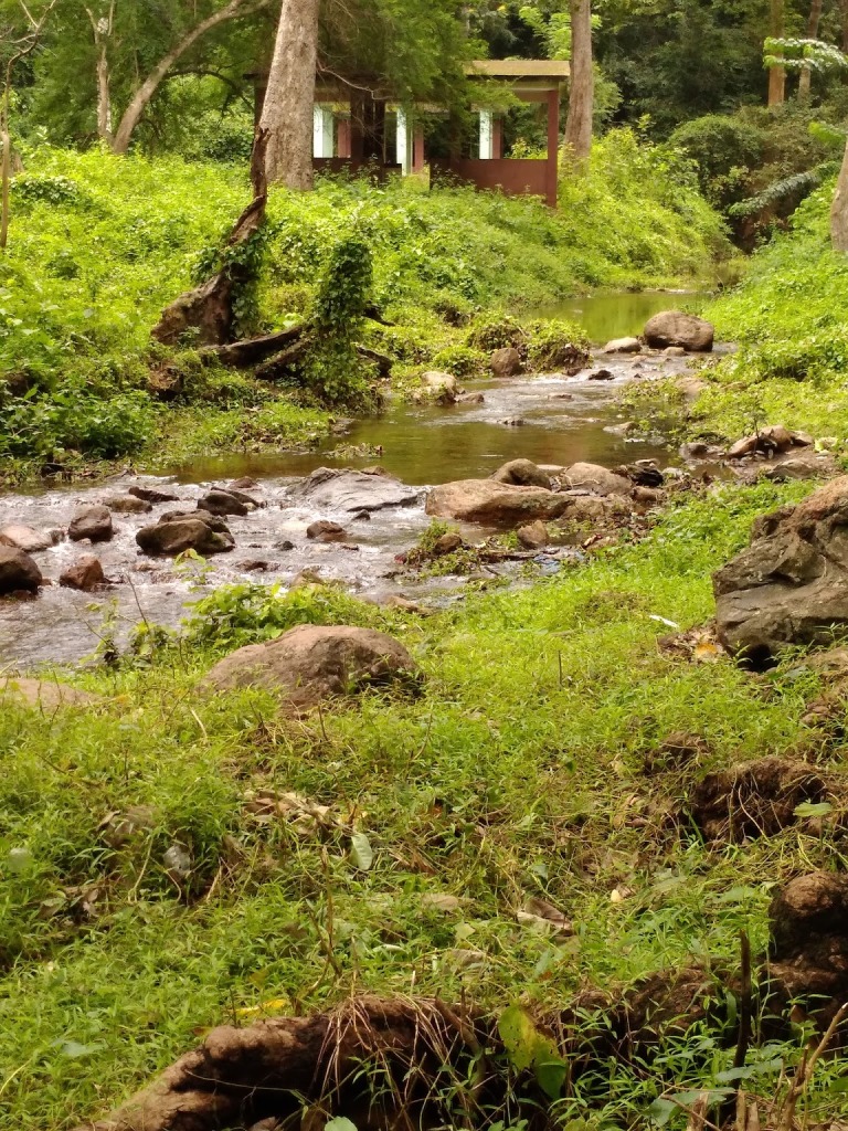 Tamilnadu Tourism: Suruli Falls, Suruli Malai, Theni