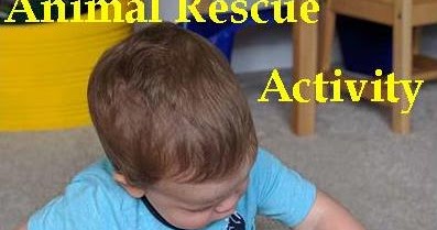 Memorizing the Moments: Animal Rescue Activity