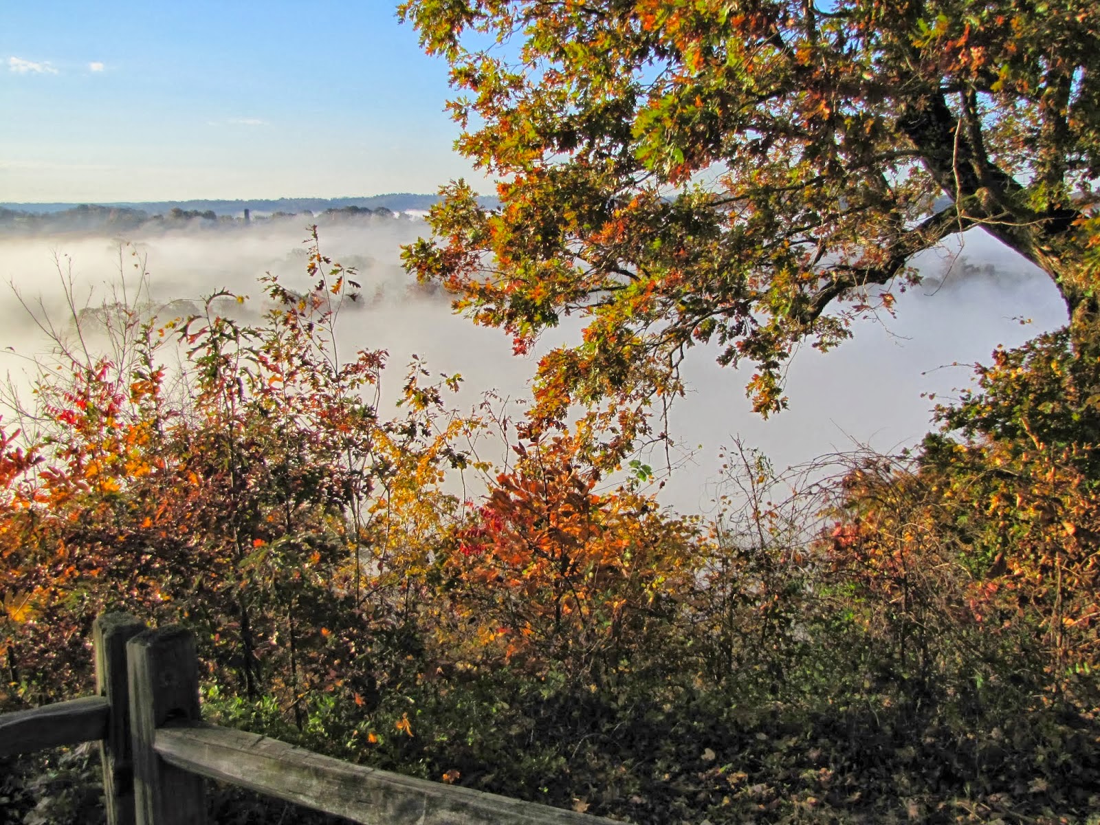 Baker Bluff Overlook