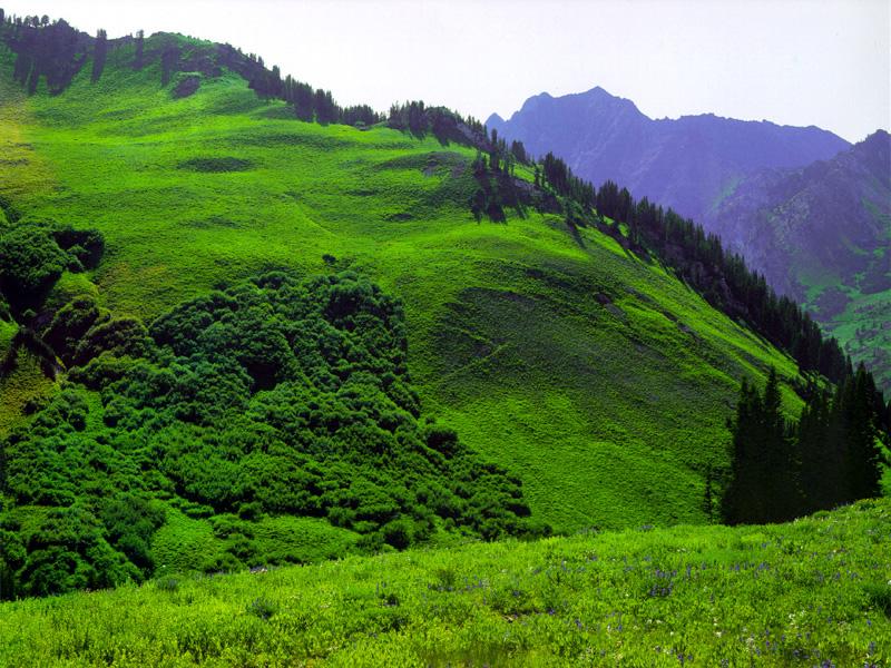 Cara Membuat Image View Bulat (Circle Image) dengan Glide di Android ...