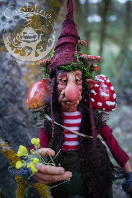 The Goblin´s Lab: Fungustus Birch an elf guide to the Upsidedown forest ...