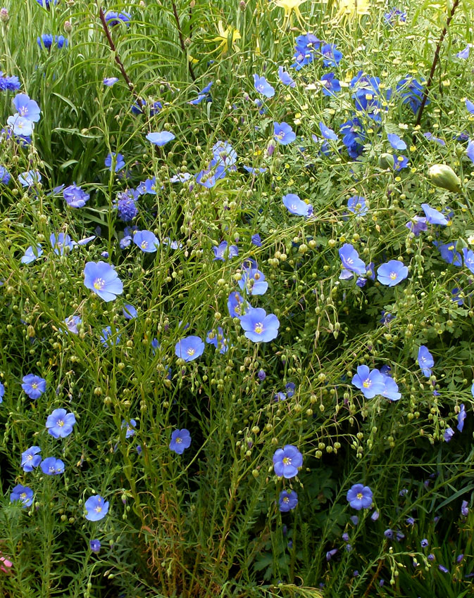 The Spindle is Mightier Than the Sword