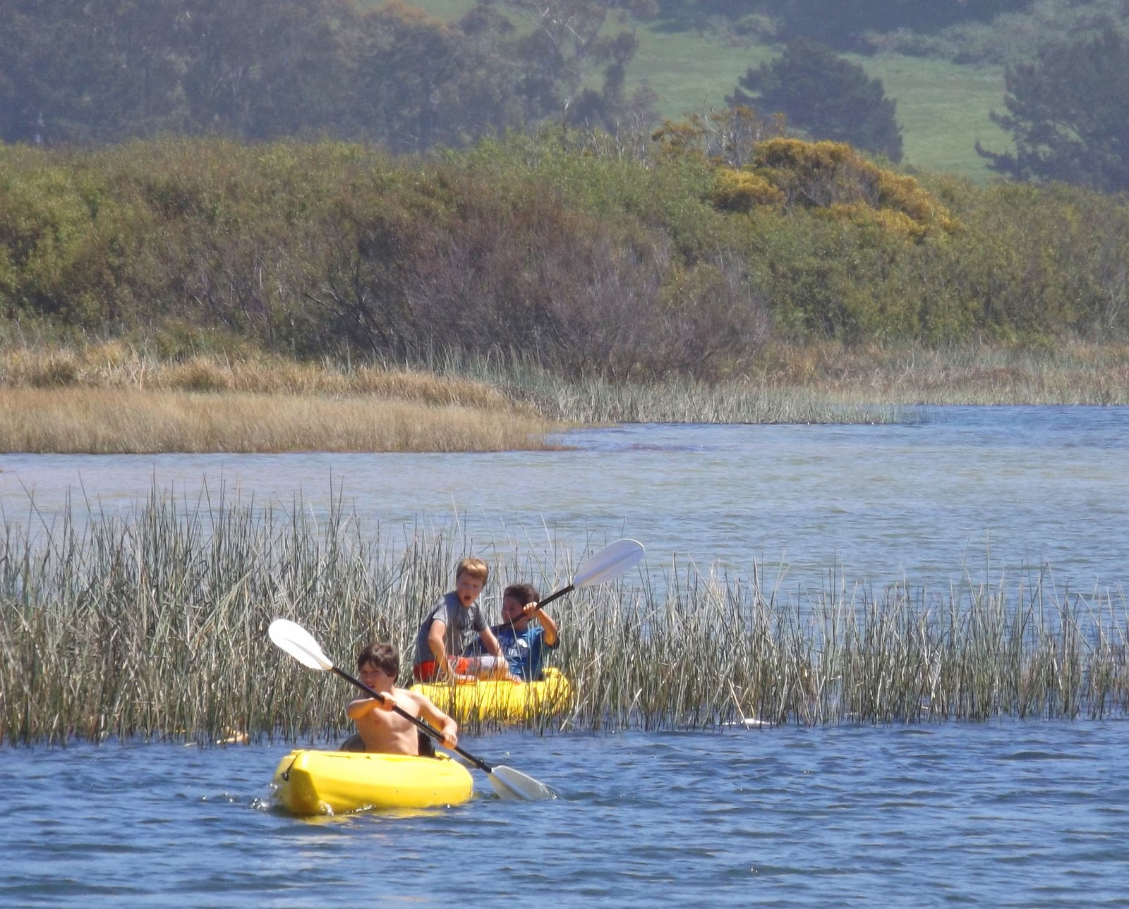 Carmel by the Sea: Carmel Point Walking Tour